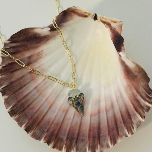 Sea Glass Shark Tooth Necklace - Etsy