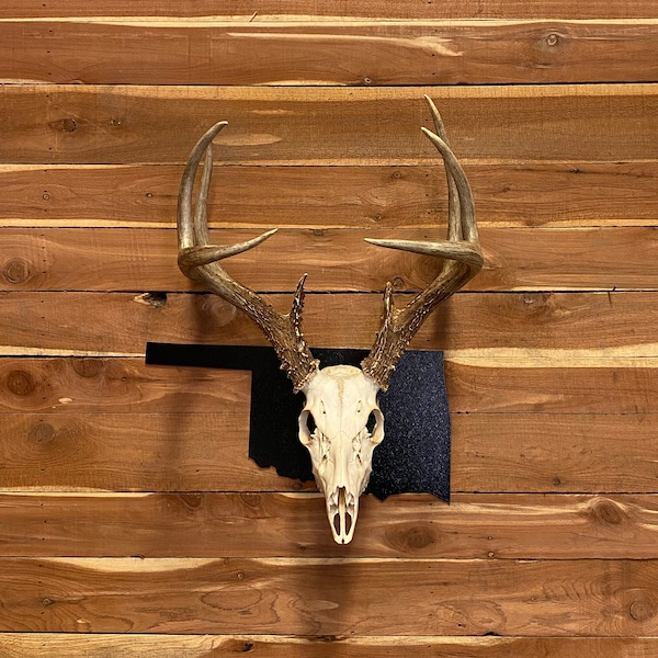 Deer Wall Mount - Etsy
