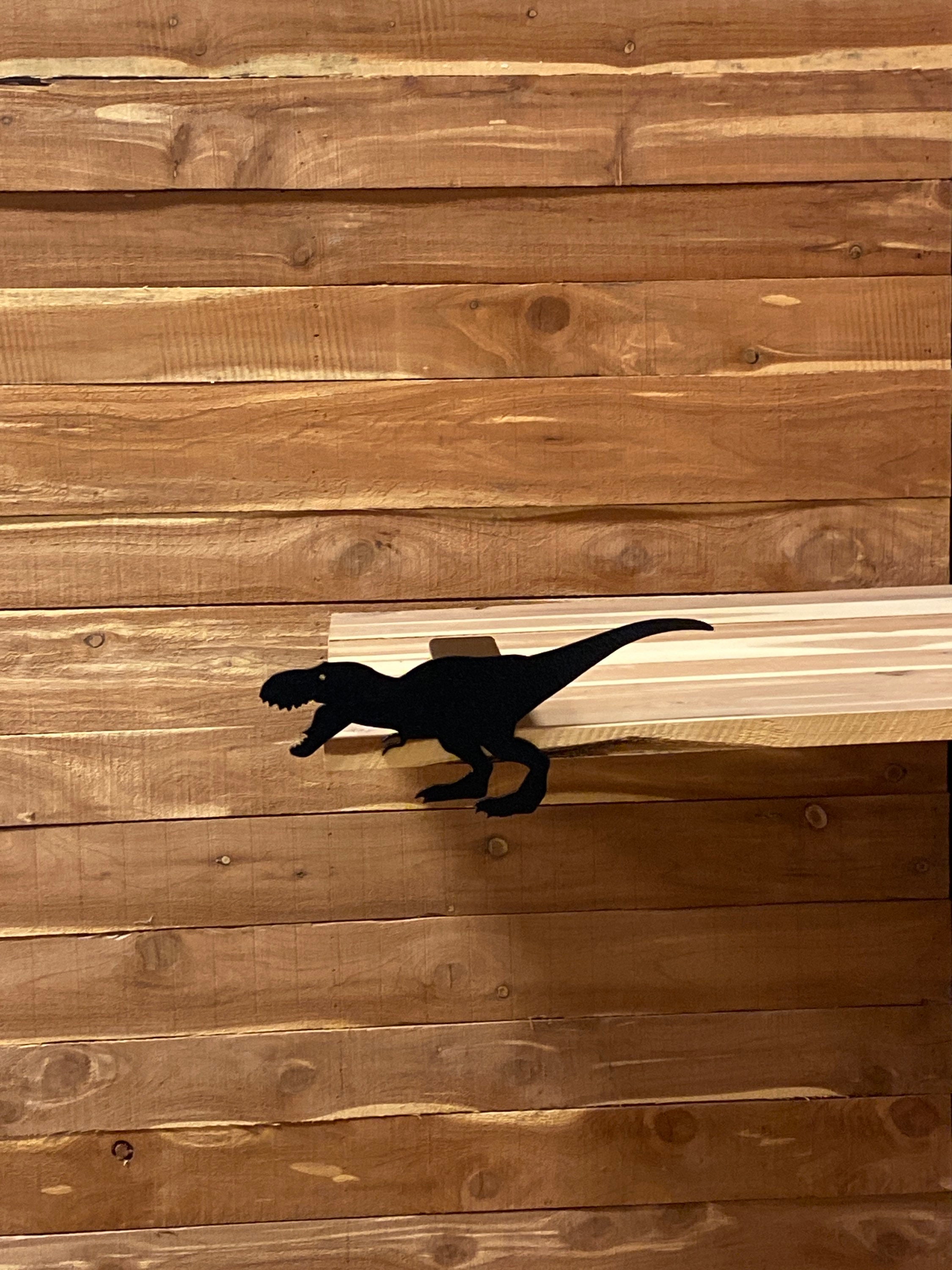 T-REX, Hitch Cover, 2'' Receiver - Etsy