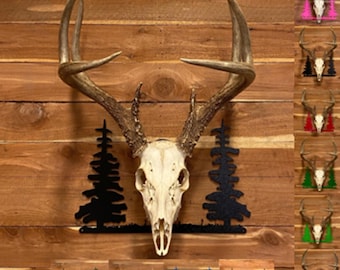 Bow Hunting, Deer Hunting, European Mount. Hunting, Deer Skull Mount ...