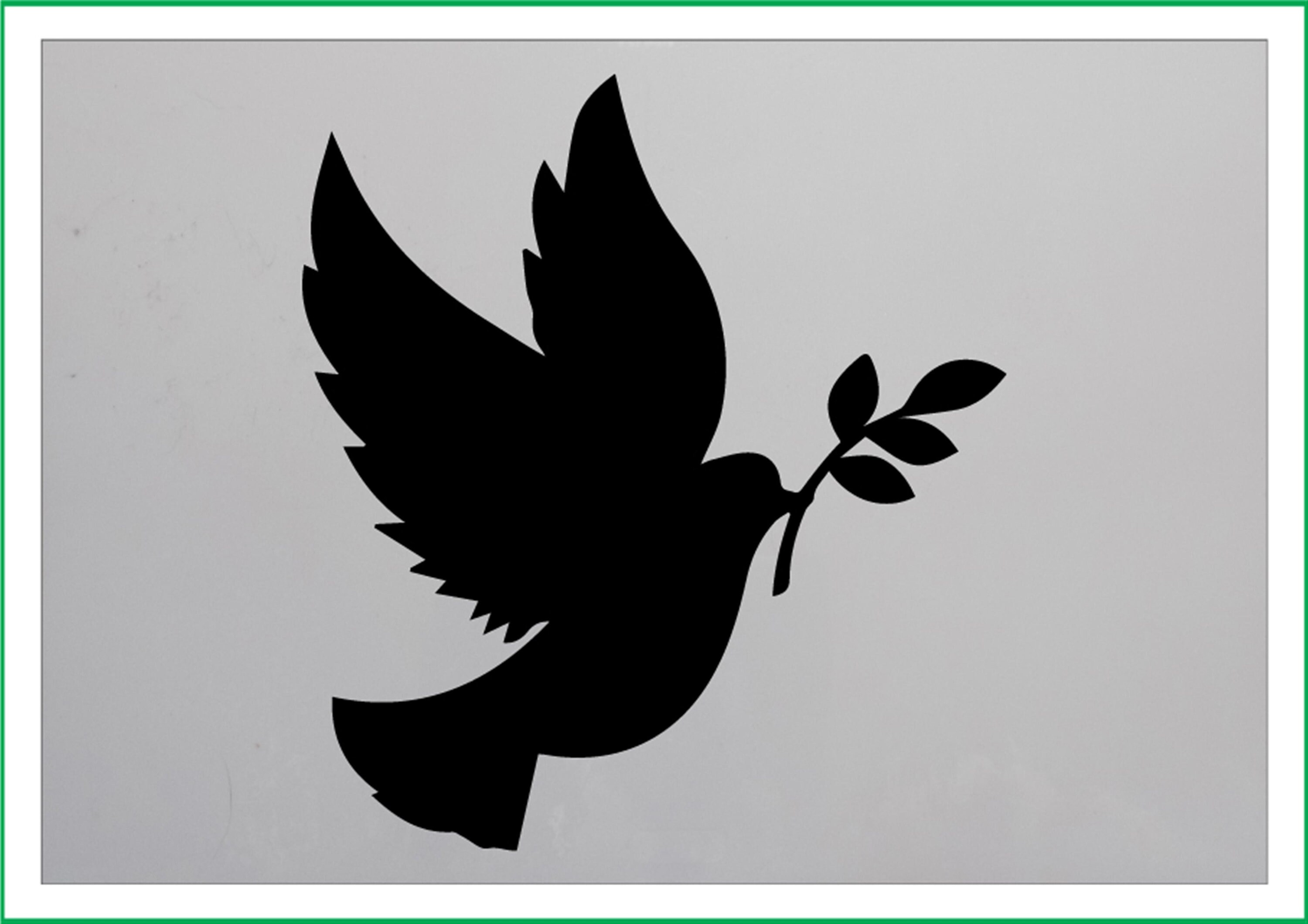 PEACE BIRD / DOVE Print Mylar Stencil 190 Micron Mylar A4 A3 - Etsy UK