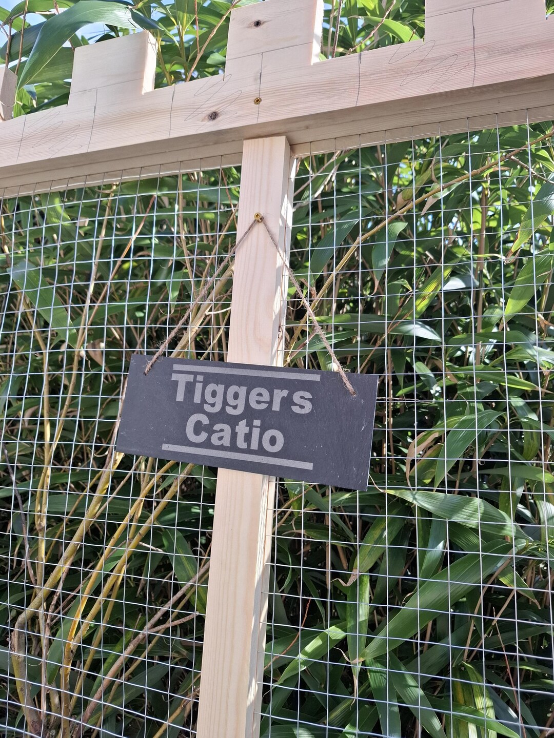Custom Catio Hanging Sign. Outdoor Animal Enclosure Sign - Etsy