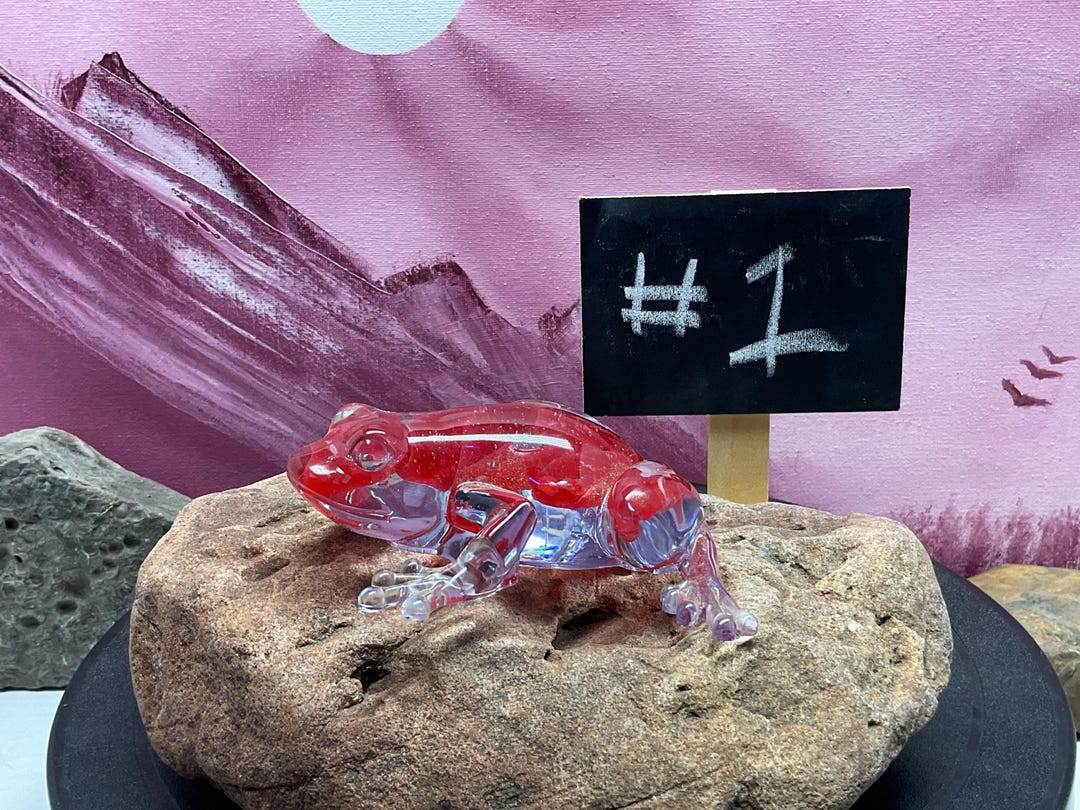 Shimmering Resin Frogs: Swedish Fish Inside - the Upstairs Basement - Etsy
