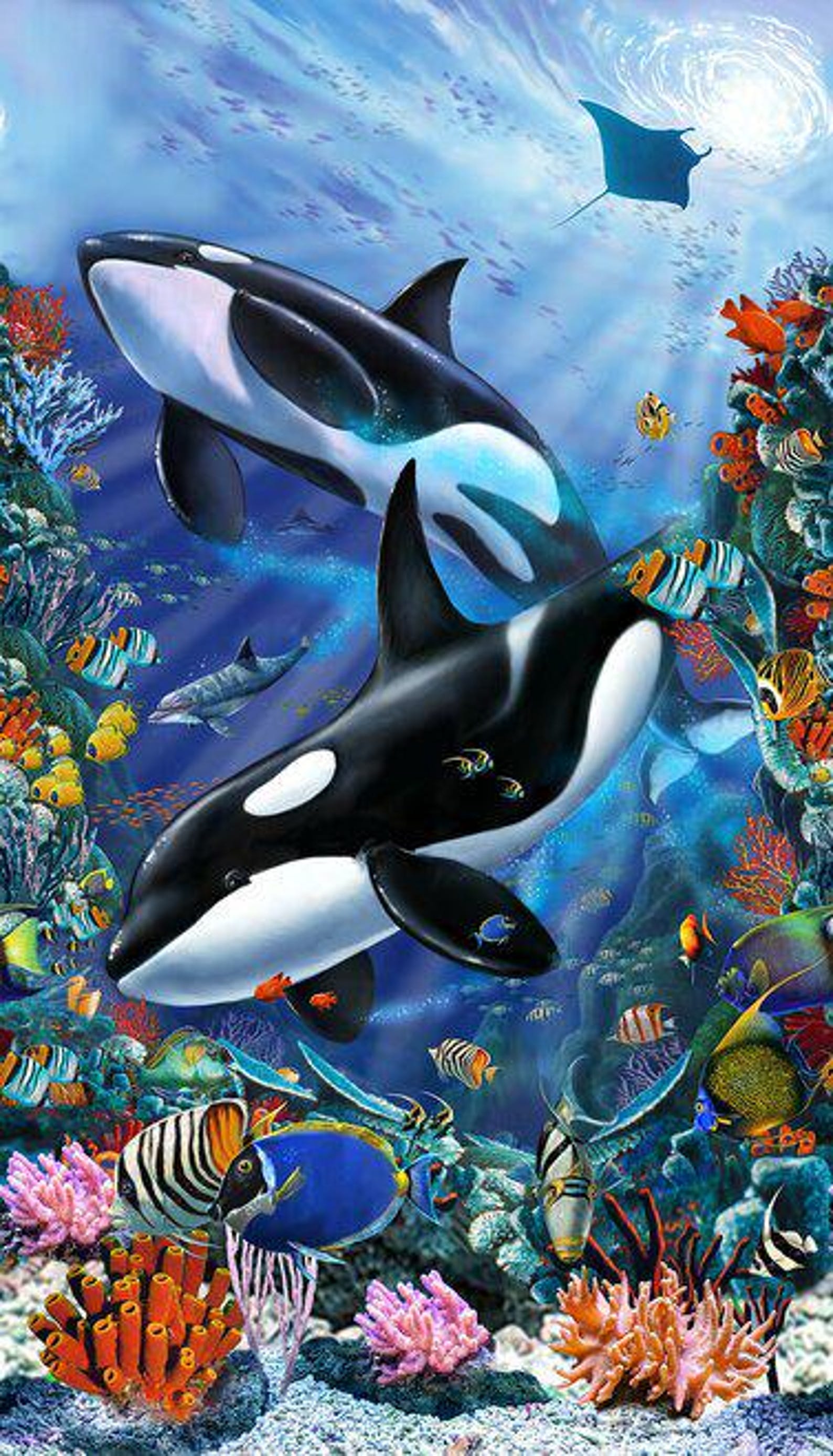 Reef Life Orca Fabric Panel - Etsy