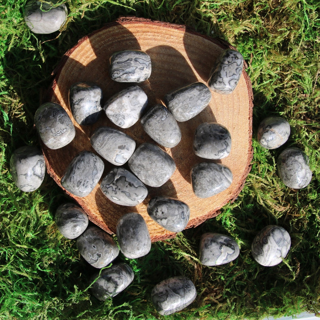 Viper Lace AKA Gray Crazy Lace Aka Gray Map Jasper Tumbled Medium - Etsy
