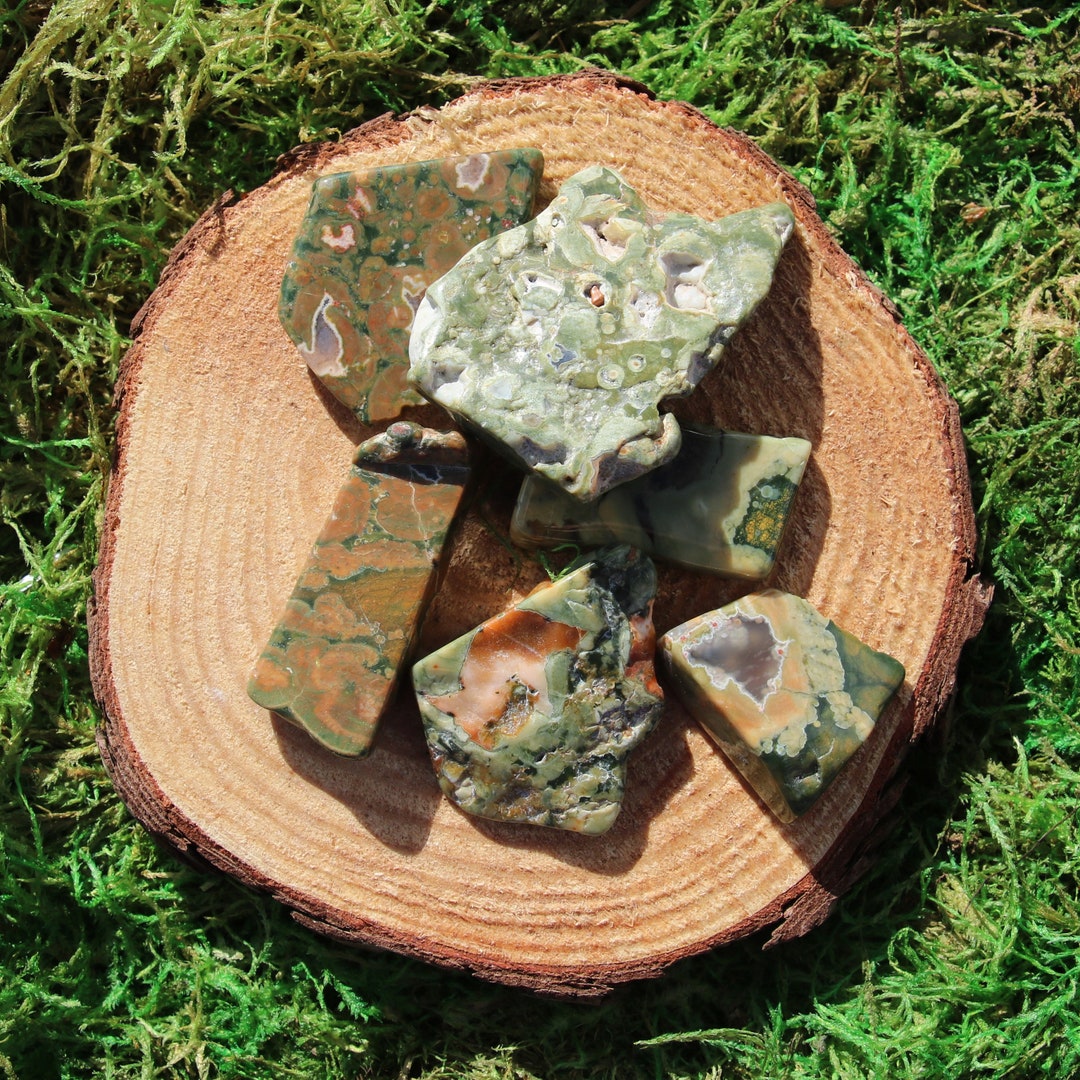 Rainforest Rhyolite Free Form Polished Pieces - Etsy