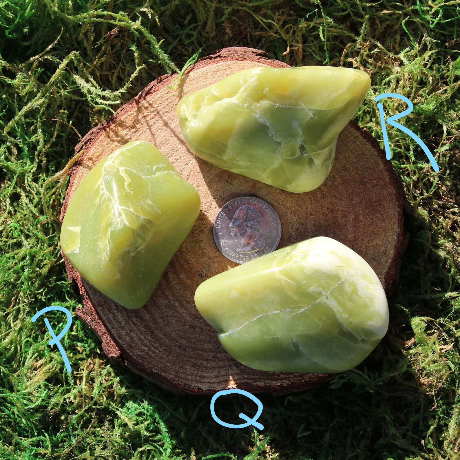 Dark Washington Serpentine Polished Small Palm Chunks M-V - Etsy