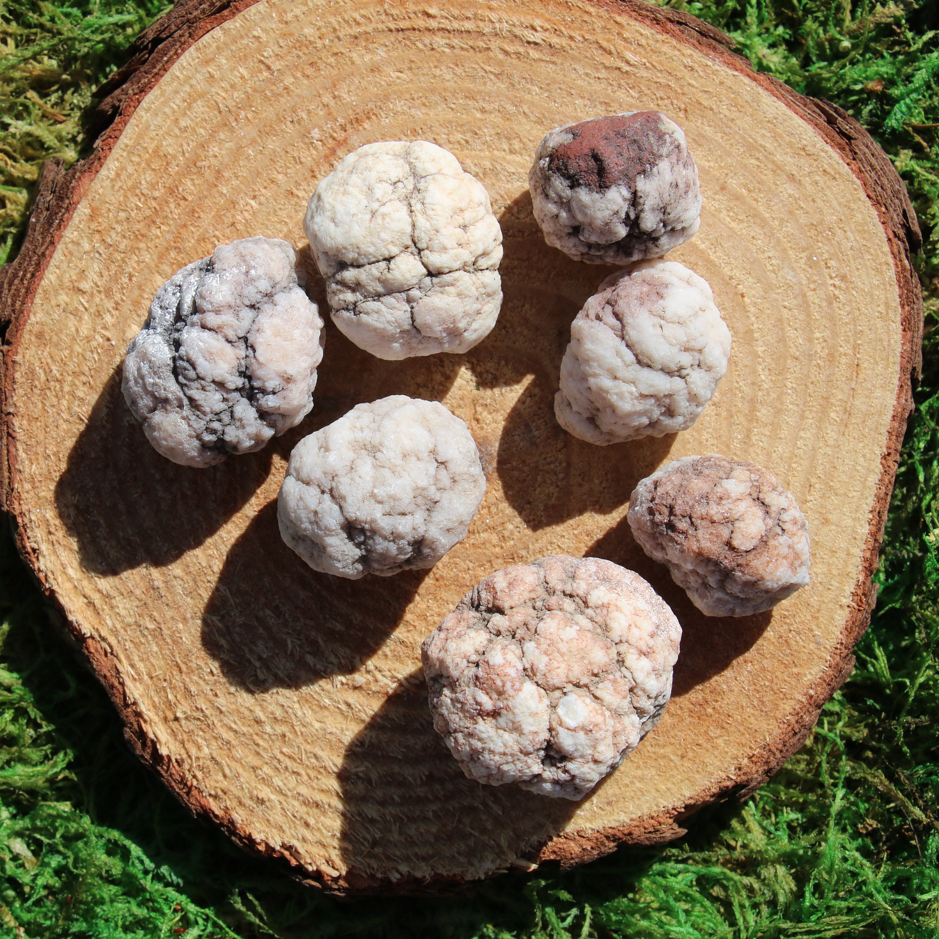 Brain Geodes Medium Raw - Etsy