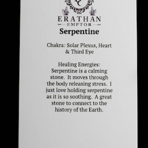 Dark Washington Serpentine Polished Small Palm Chunks #M-V - Etsy