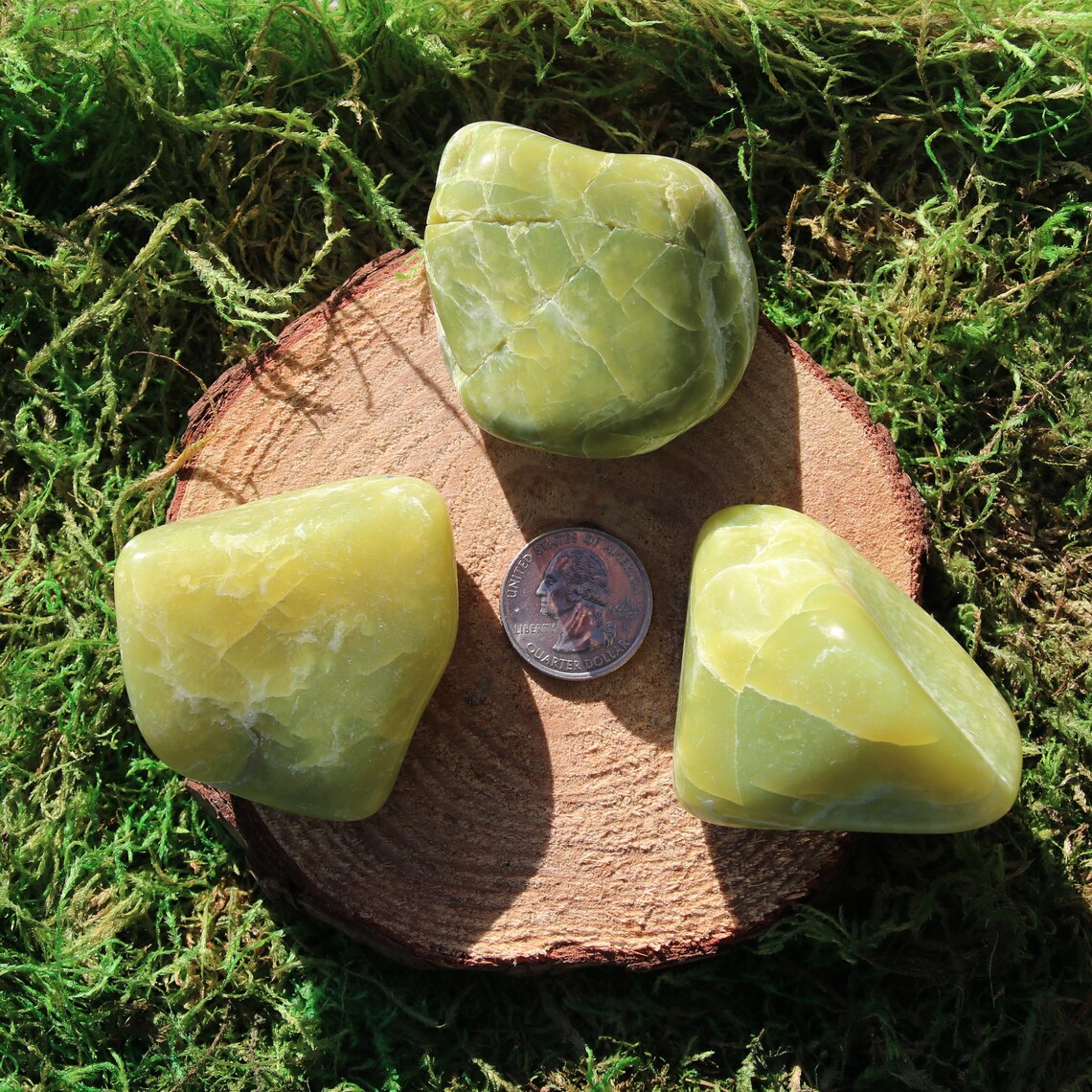 Dark Washington Serpentine Polished Small Palm Chunks M-V - Etsy