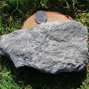 Holmquistite Piece #I - Etsy