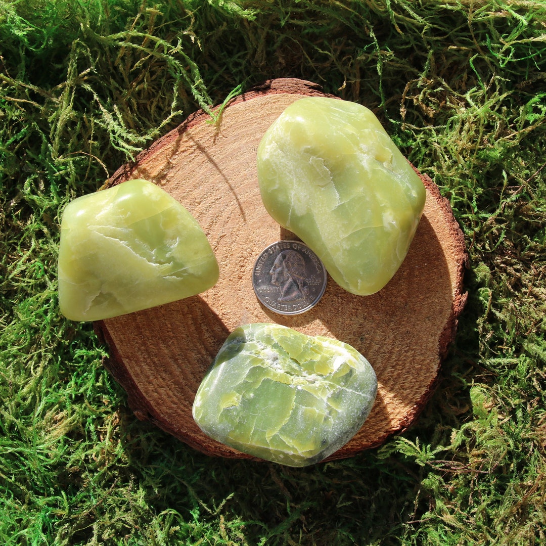 Dark Washington Serpentine Polished Small Palm Chunks #D-I - Etsy
