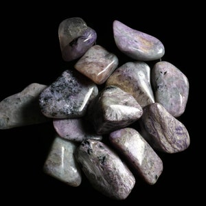 Pink Charoite Large Tumbled - Etsy