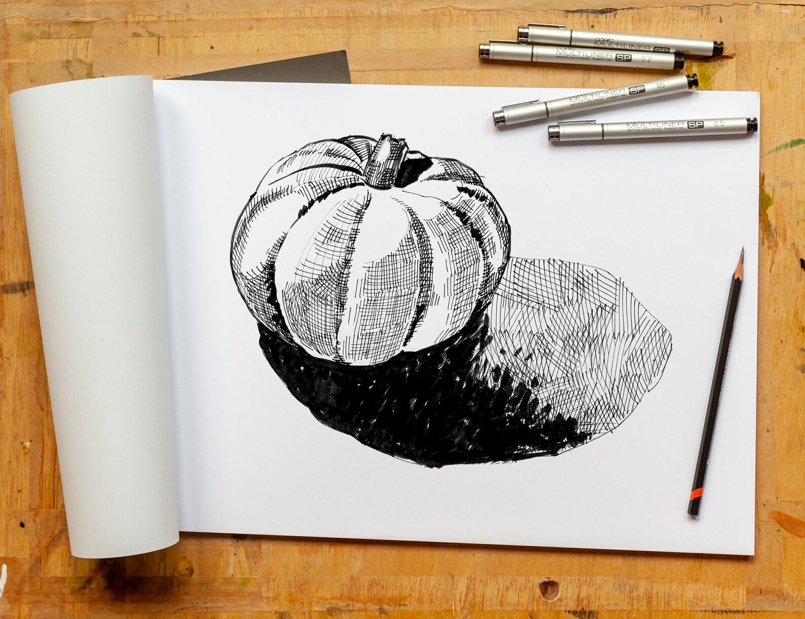 Crown Prince Squash, Pen and Ink Still Life Print, Fine Art Print ...