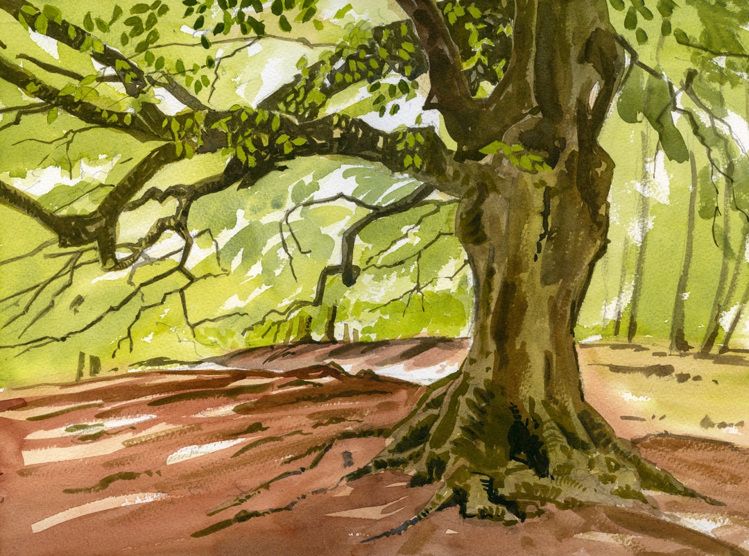 Beech Tree, Perry Wood, Kent, England. Watercolour Print. Woodland Wall ...