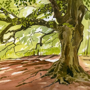 Beech Tree, Perry Wood, Kent, England. Watercolour Print. Woodland Wall ...