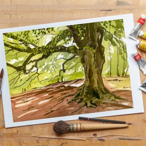 Beech Tree, Perry Wood, Kent, England. Watercolour Print. Woodland Wall ...