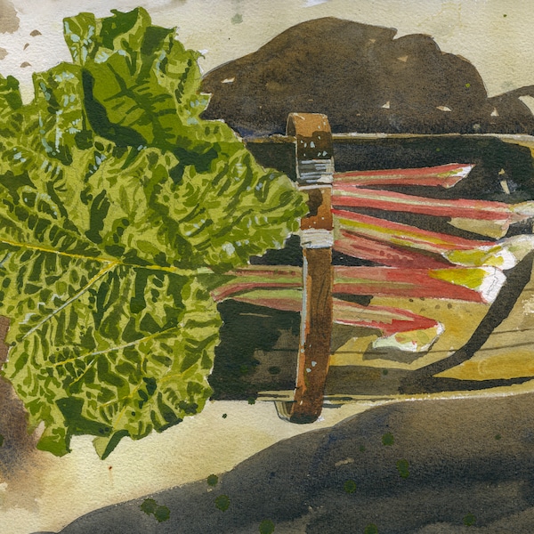 Rhubarb Art - Etsy