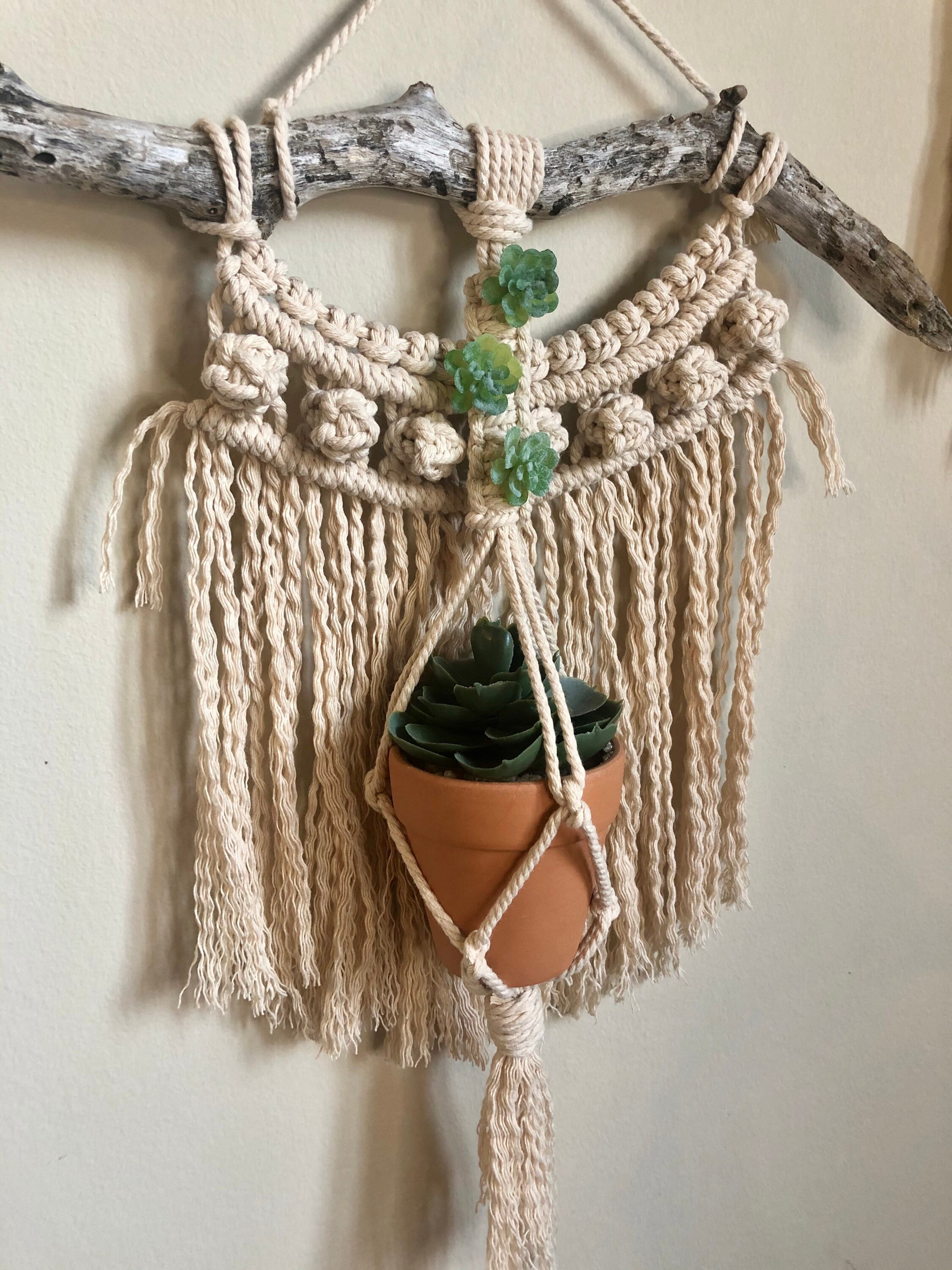 Succulent Sisters Macrame Wall Hangings, Artificial Plant, Succulent ...
