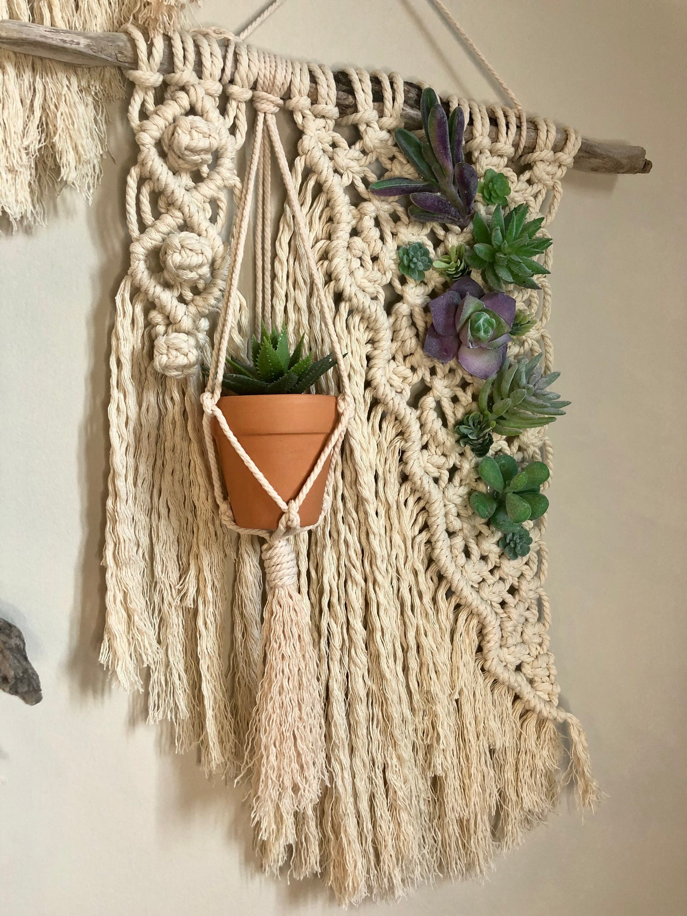 Succulent Sisters Macrame Wall Hangings, Artificial Plant, Succulent ...