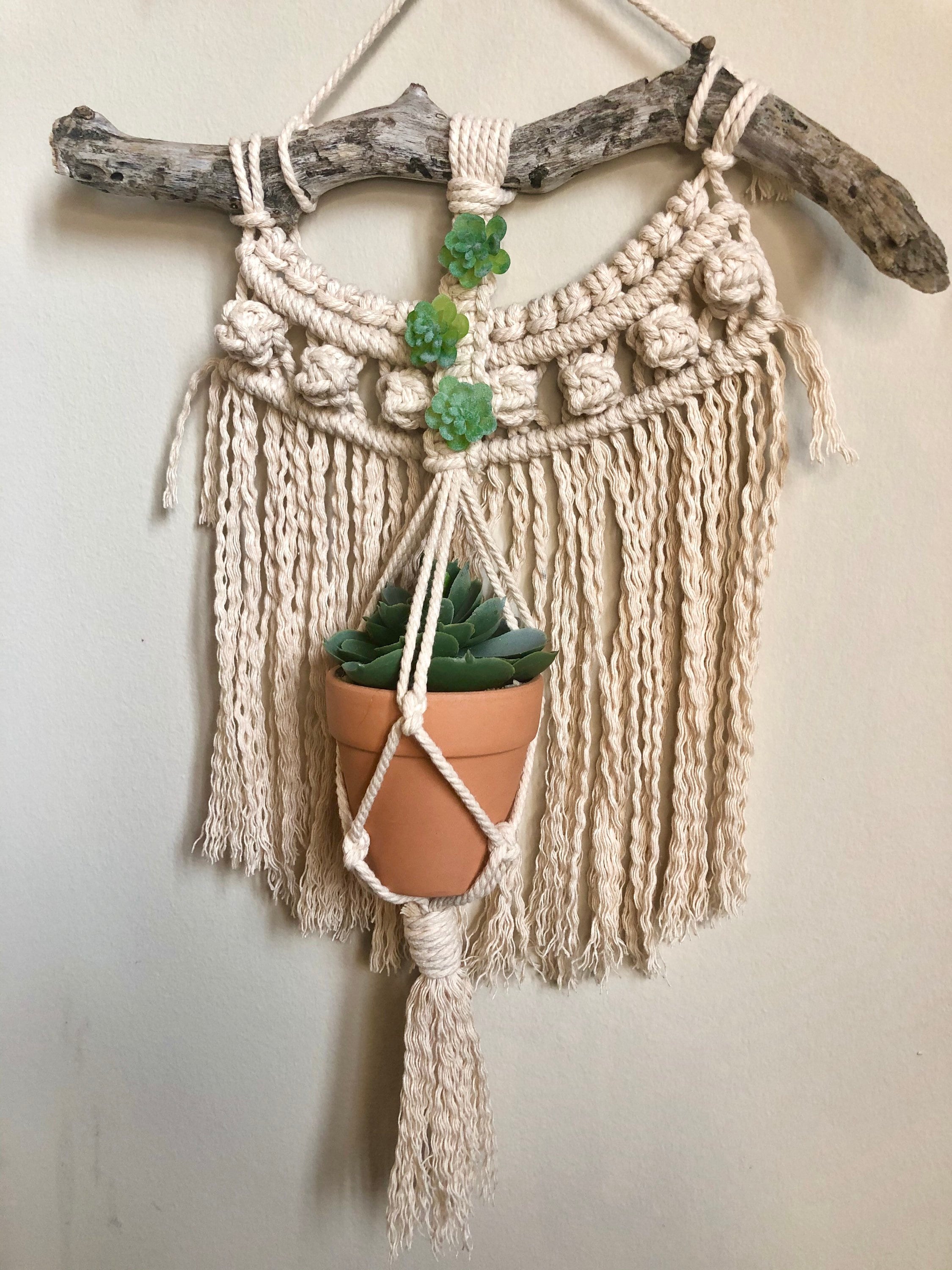 Succulent Sisters Macrame Wall Hangings, Artificial Plant, Succulent ...
