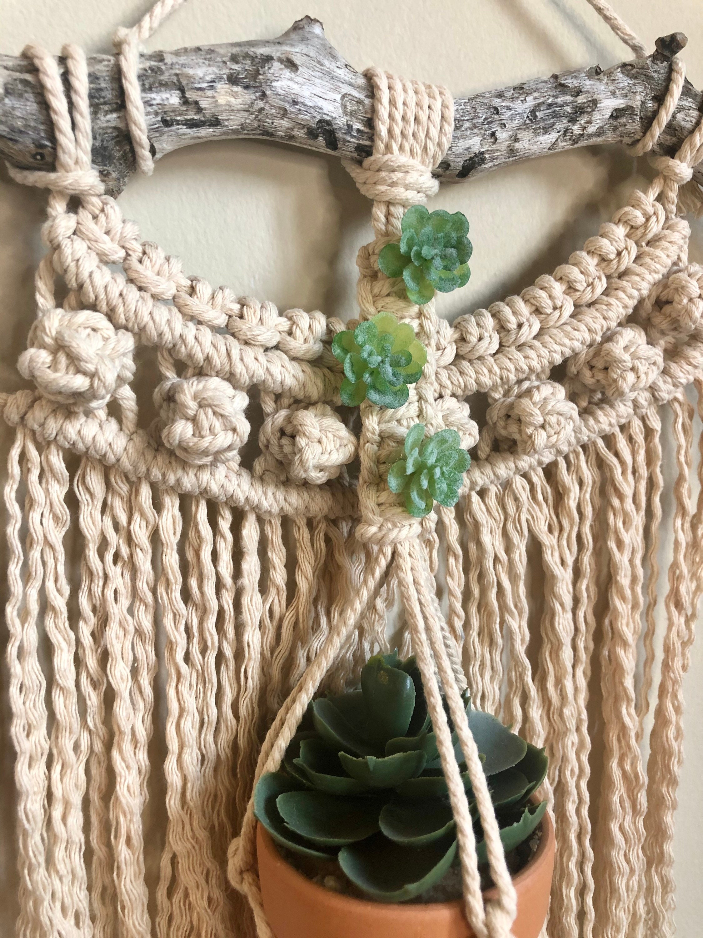 Succulent Sisters Macrame Wall Hangings, Artificial Plant, Succulent ...