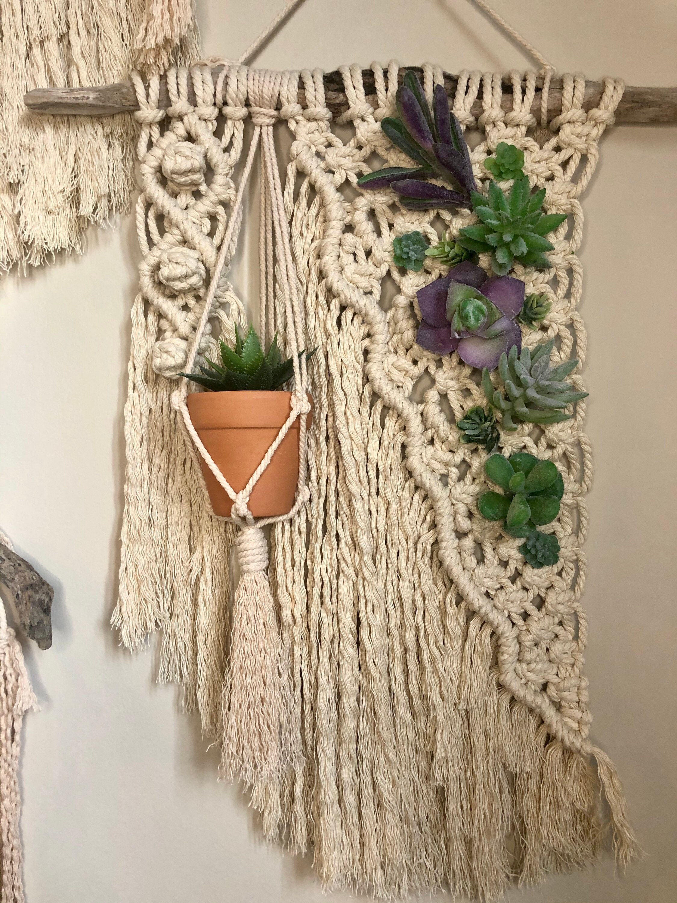 Succulent Sisters Macrame Wall Hangings, Artificial Plant, Succulent ...
