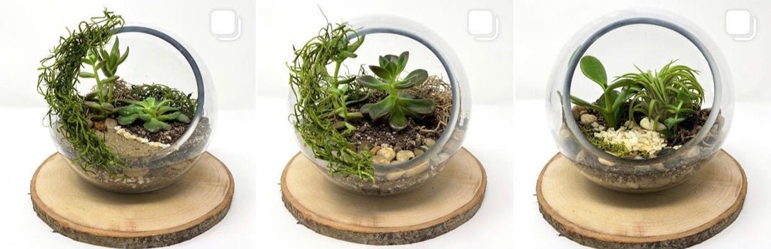 Clear Slant Bubble Bowl Vase Large Sized - Etsy