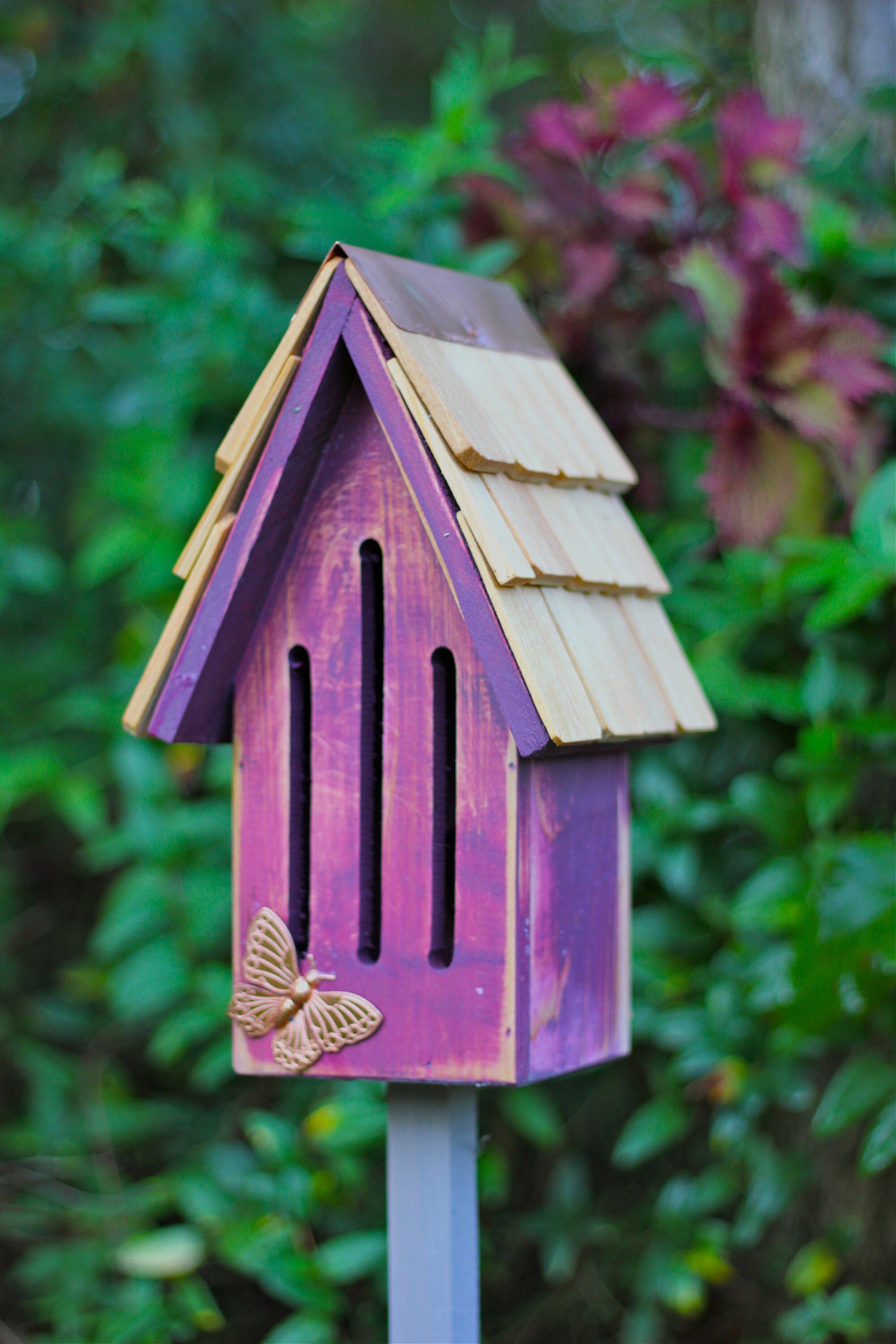 Heartwood Butterfly Breeze Butterfly House - Etsy