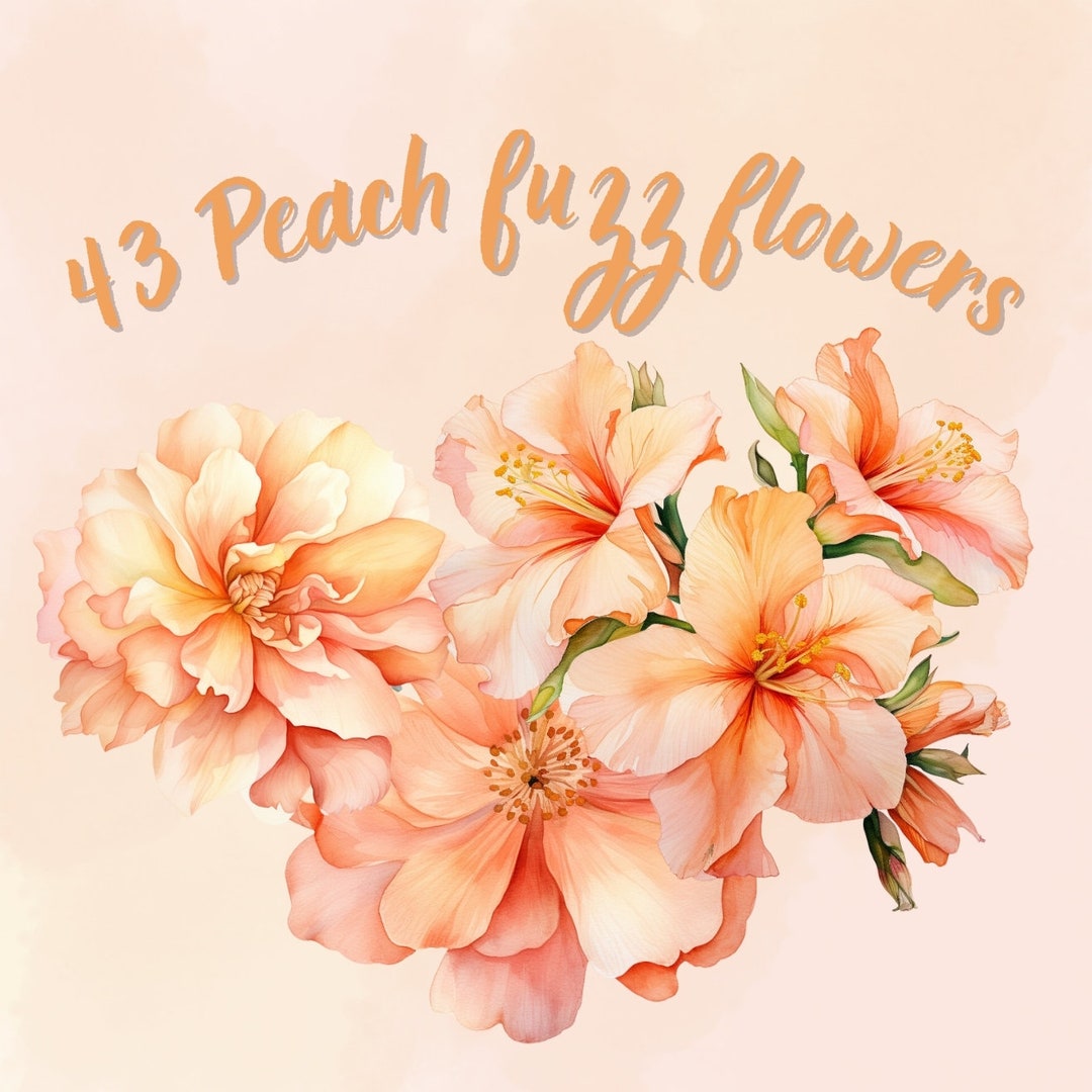 Peach Fuzz Colored Floral Watercolor Patterns, Flowers, Clipart ...
