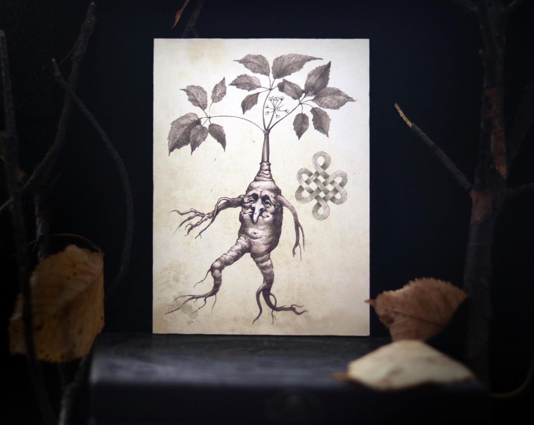 MANDRAKE ROOT Art for Home Altar - Halloween Wall Art Decoration ...