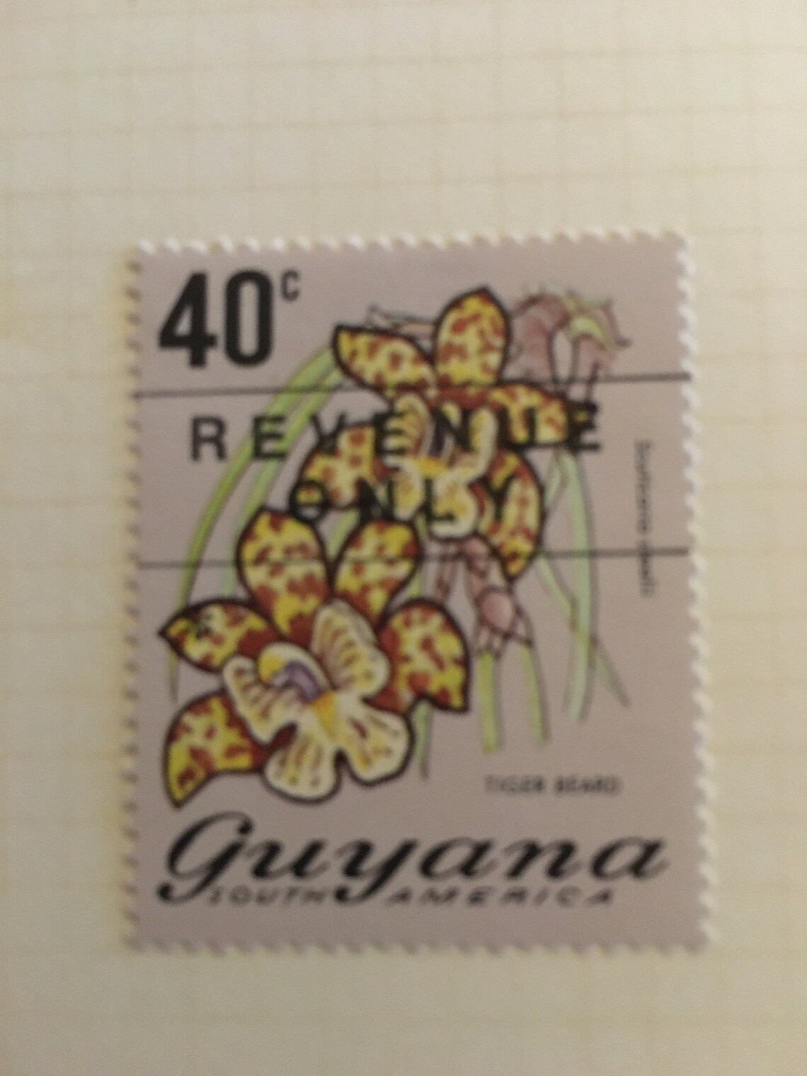 Guyana / Stamps - Etsy
