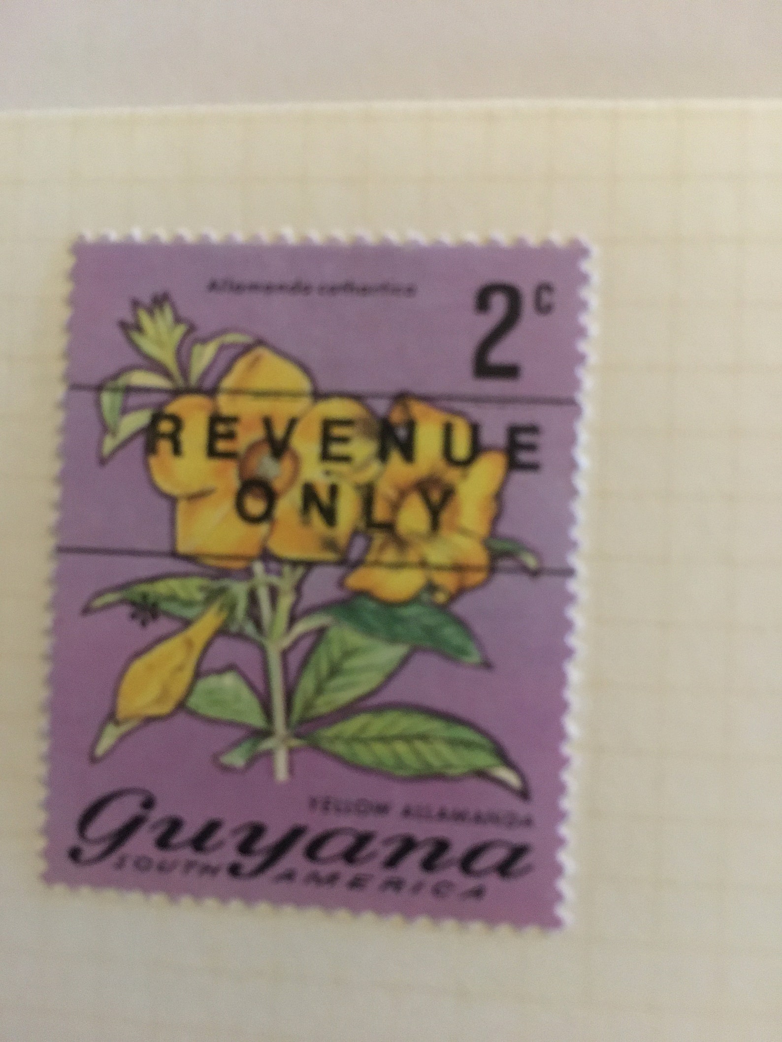 Guyana / Stamps - Etsy
