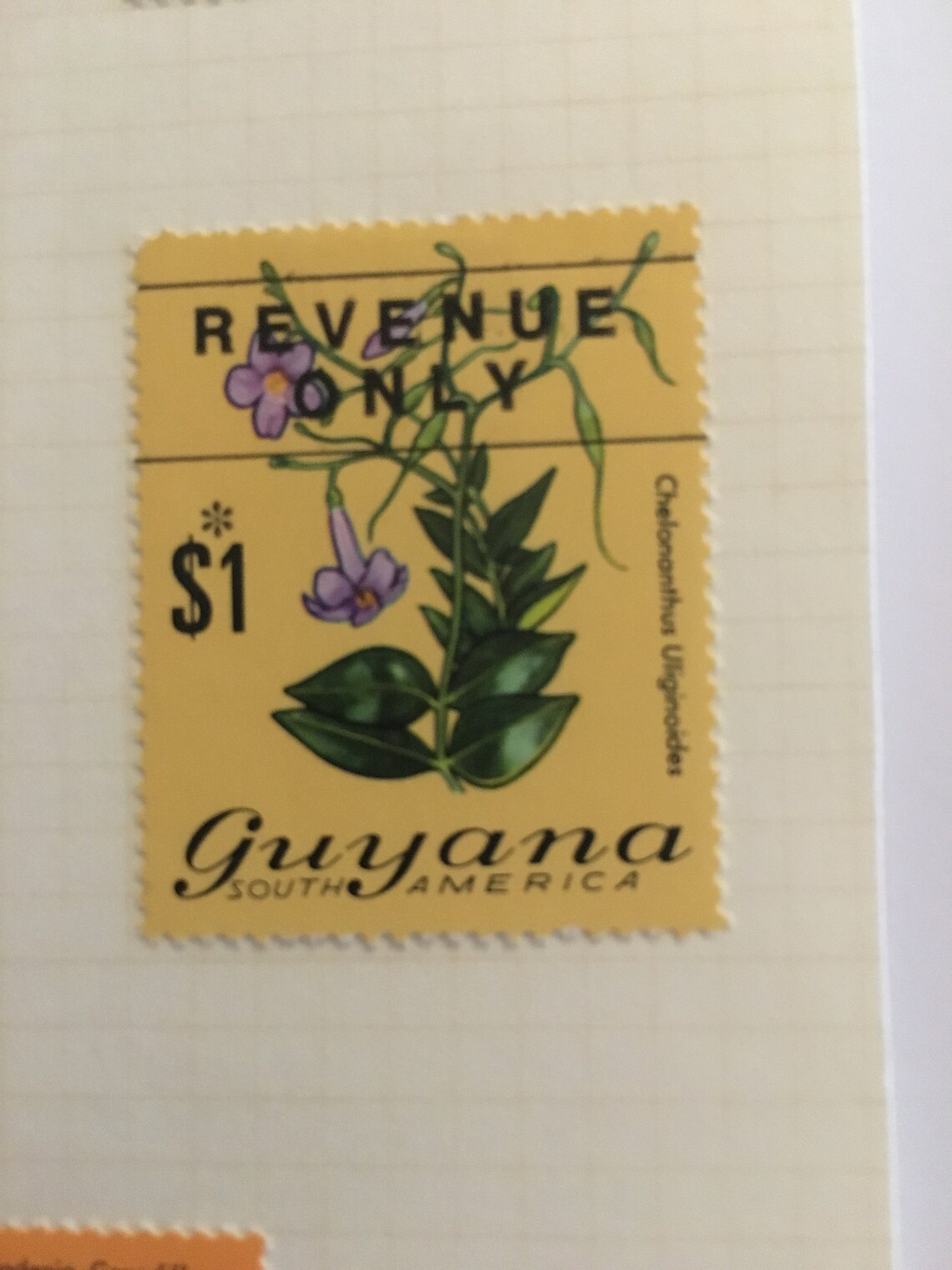 Guyana / Stamps - Etsy