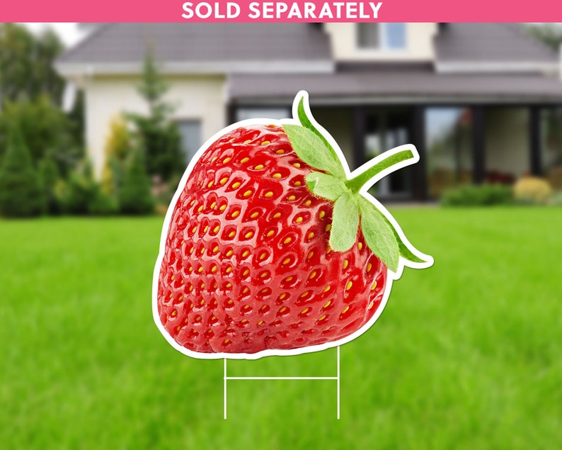 Butterfly Lawn Sign Package Butterfly Party Decorations - Etsy