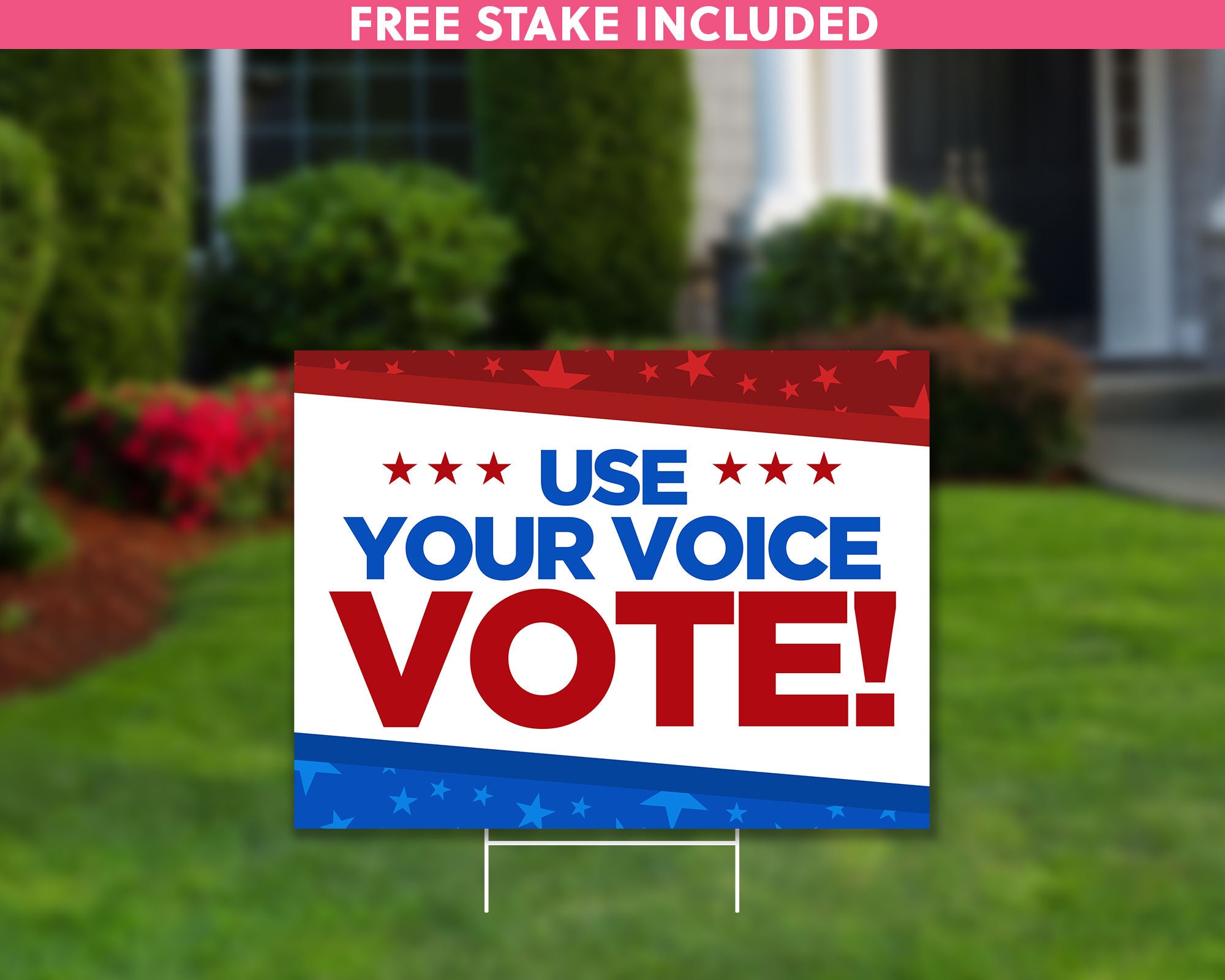 Voice Vote