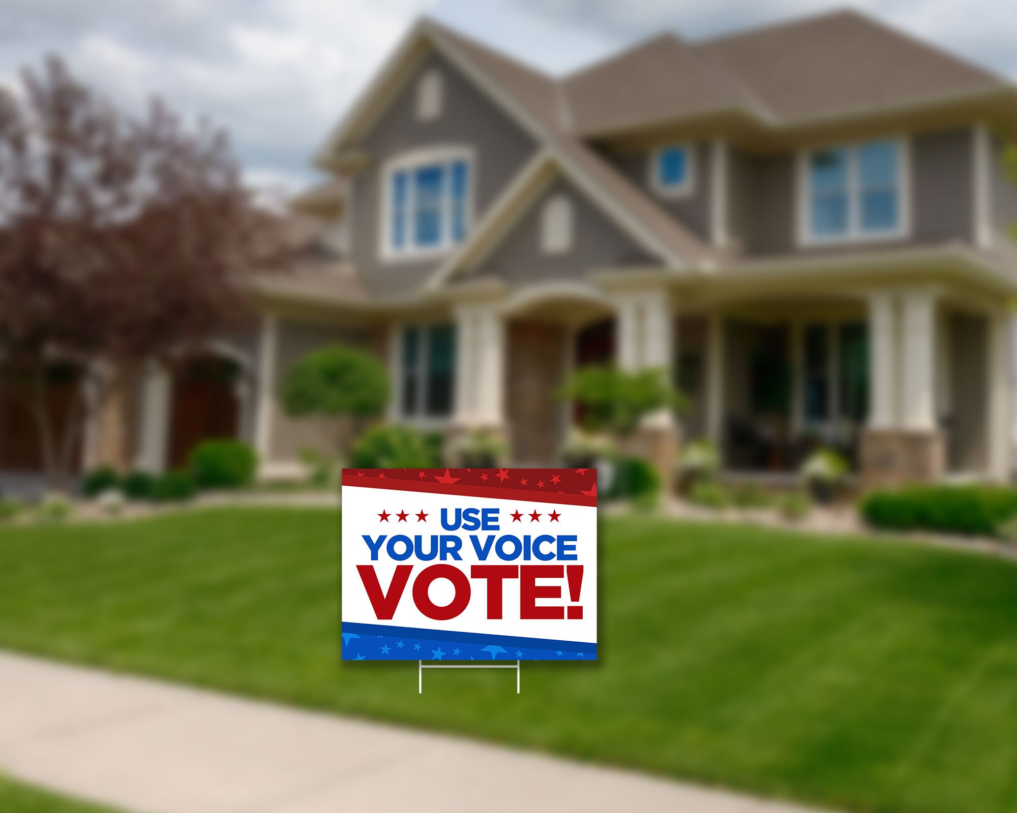 Use Your Voice Vote 18 x 24 Yard Card Political | Etsy