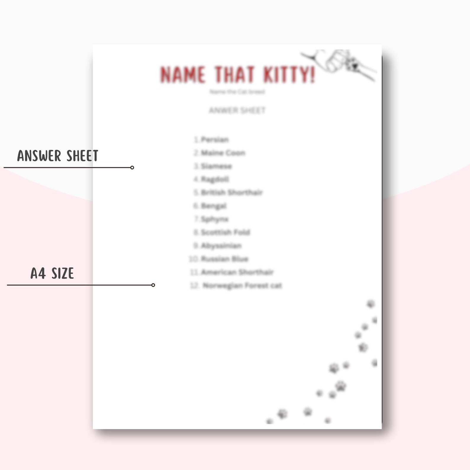 Name That Kitty Quiz, Digital Download, Fun Cat Breed Guessing Game ...