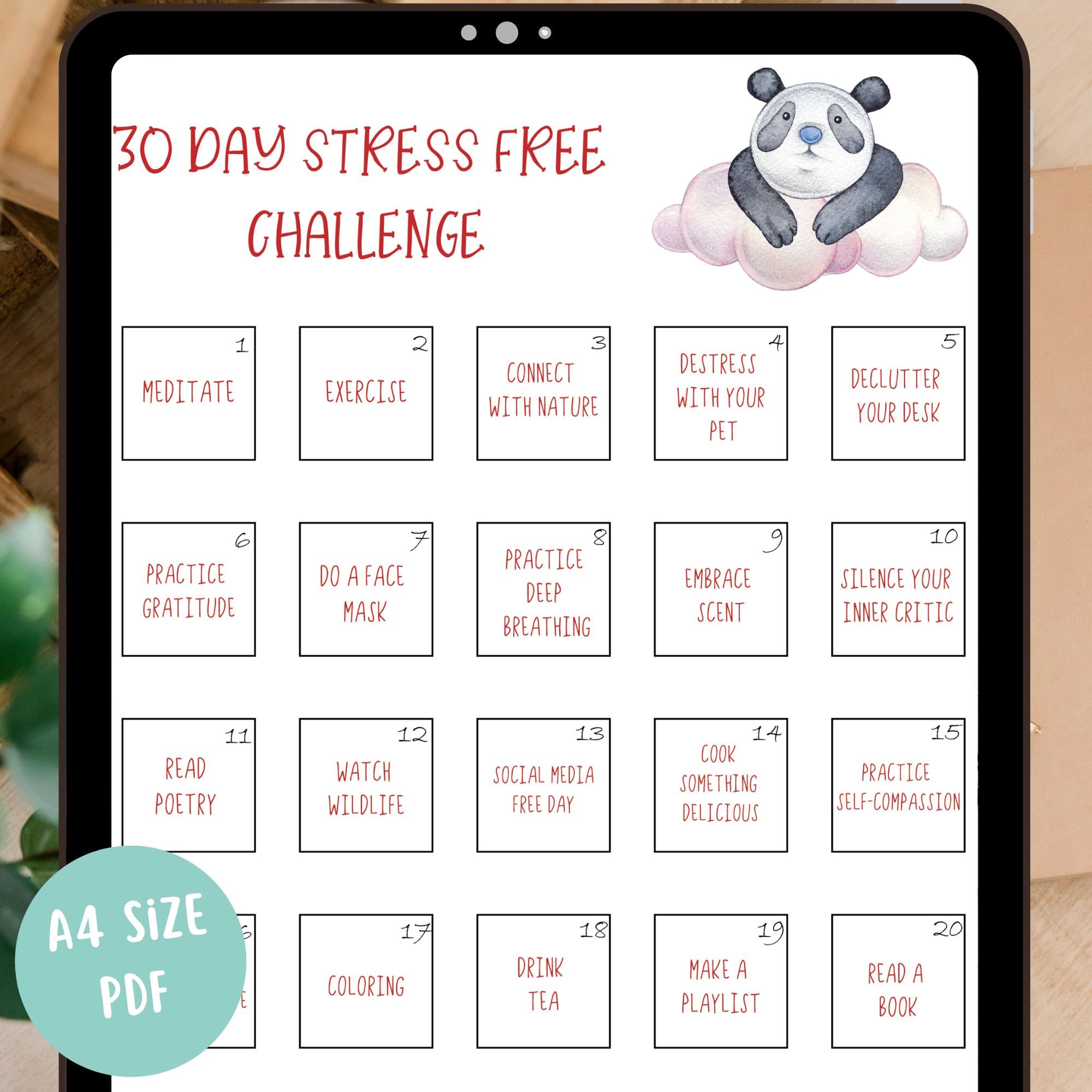 Stress Free 30 Day Challenge | 30 Day Challenge Printable | Digital ...