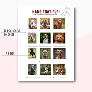 Name That Pup Quiz | Digital Download | Fun Dog Breed Guessing Game ...