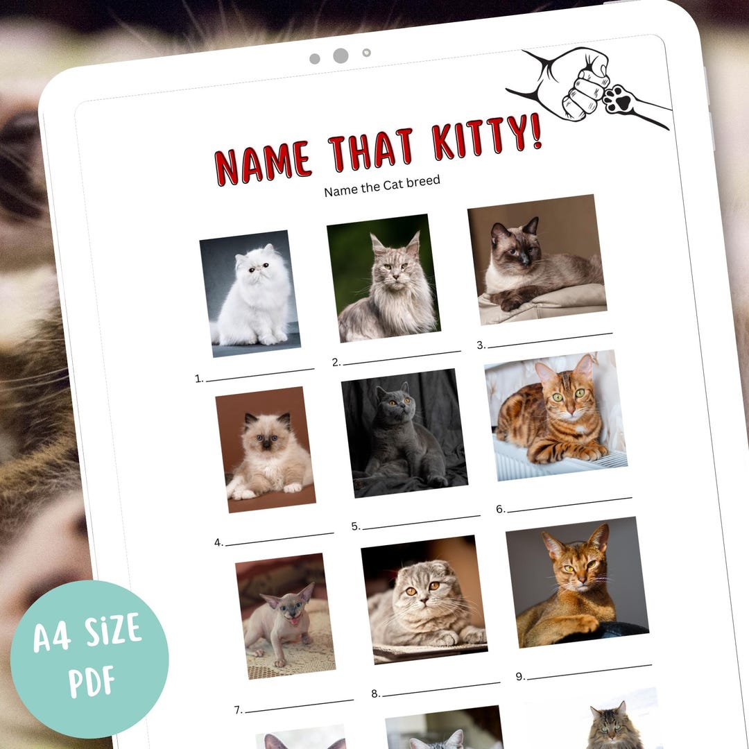 Name That Kitty Quiz, Digital Download, Fun Cat Breed Guessing Game ...