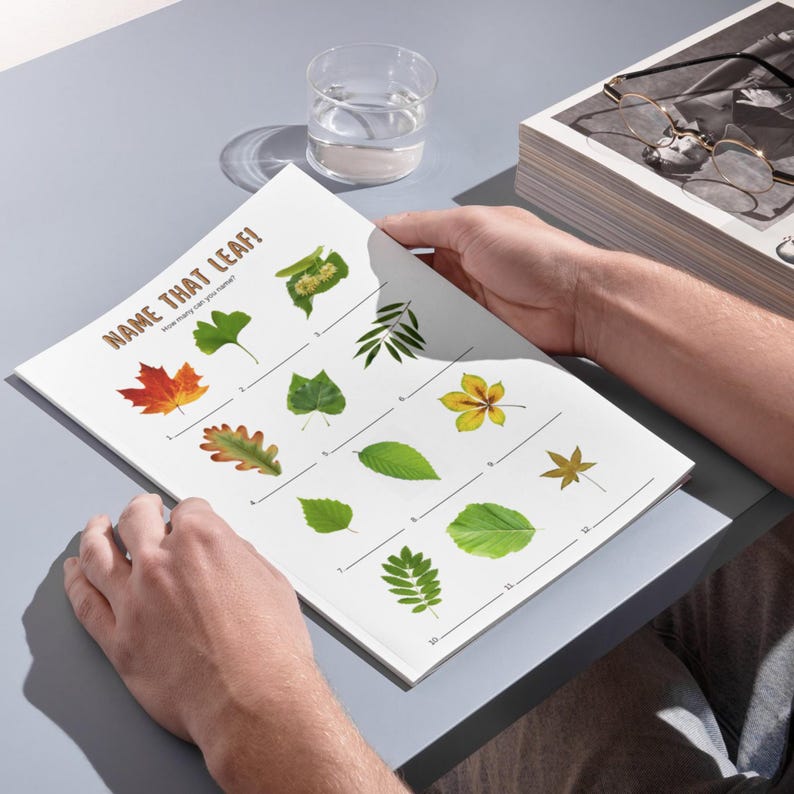 Name That Leaf Quiz, Printable Leaf Identification Game for Kids and ...