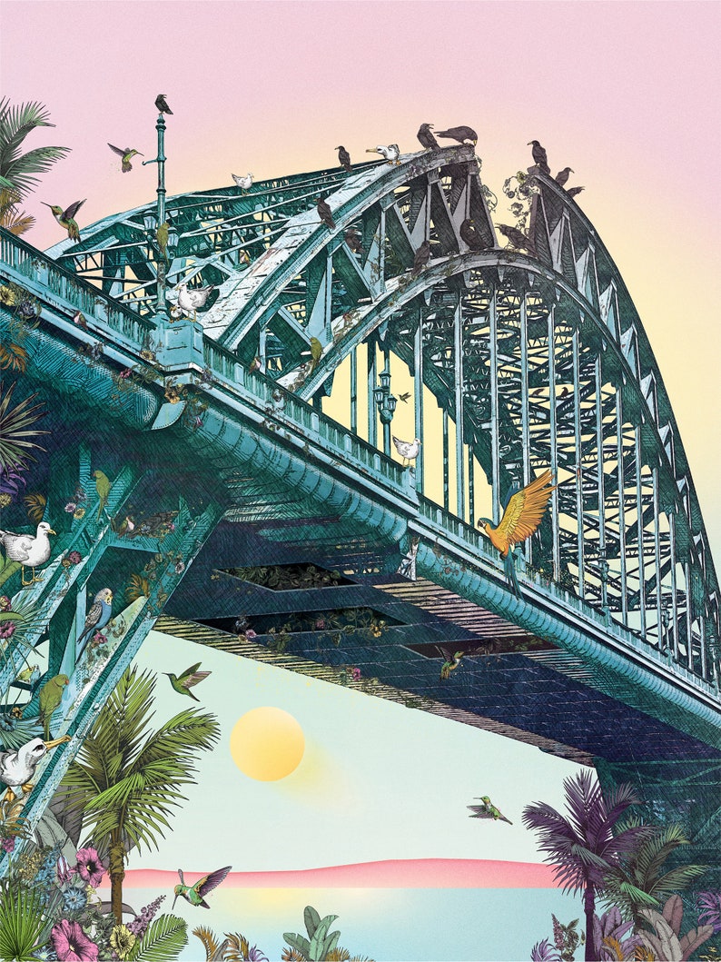 Birds of Tyne newcastle Tyne Bridge Art Print . Wall Art - Etsy UK