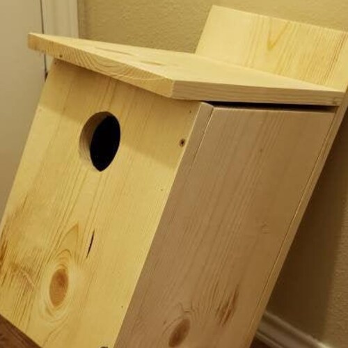Chickadee & Nuthatch Nest Box Bird House | Etsy