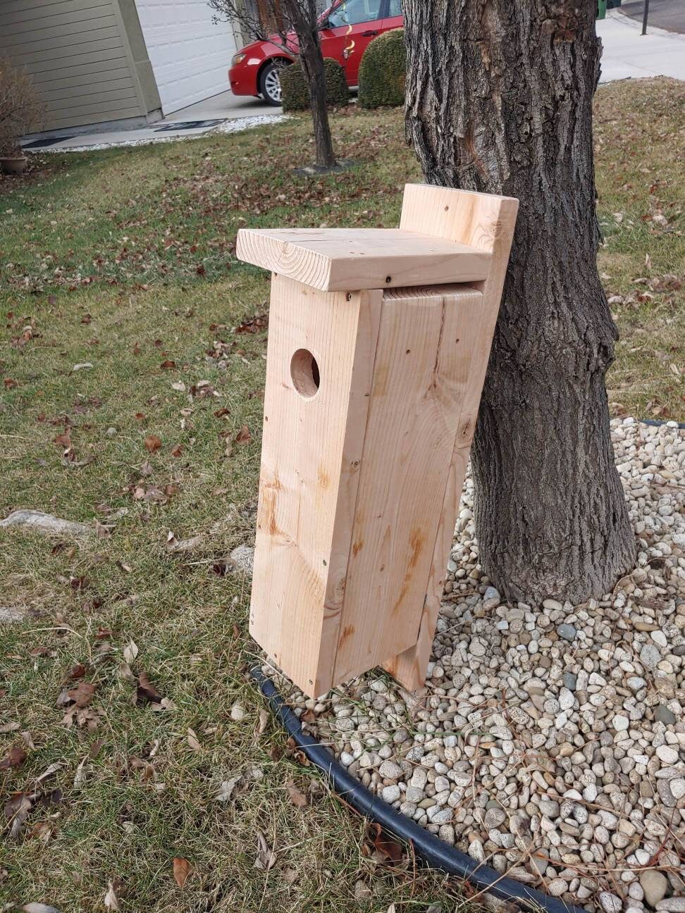 Flicker Bird House - Etsy