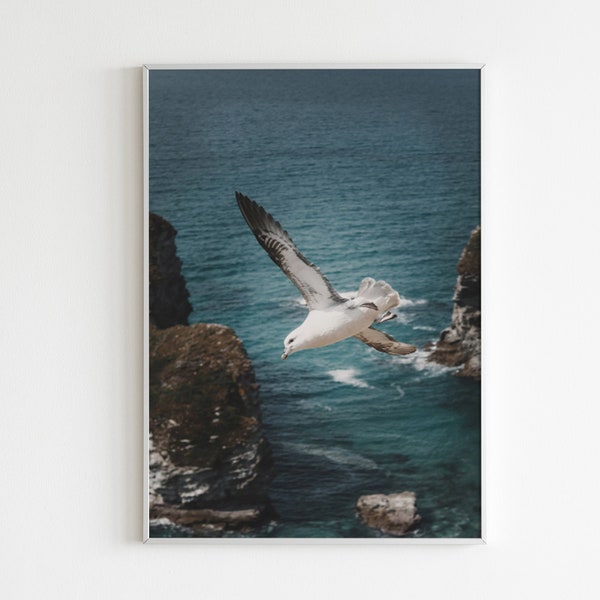Seabird Wall Art - Etsy