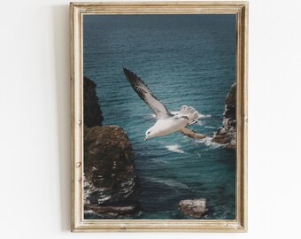 Seabird Wall Art - Etsy
