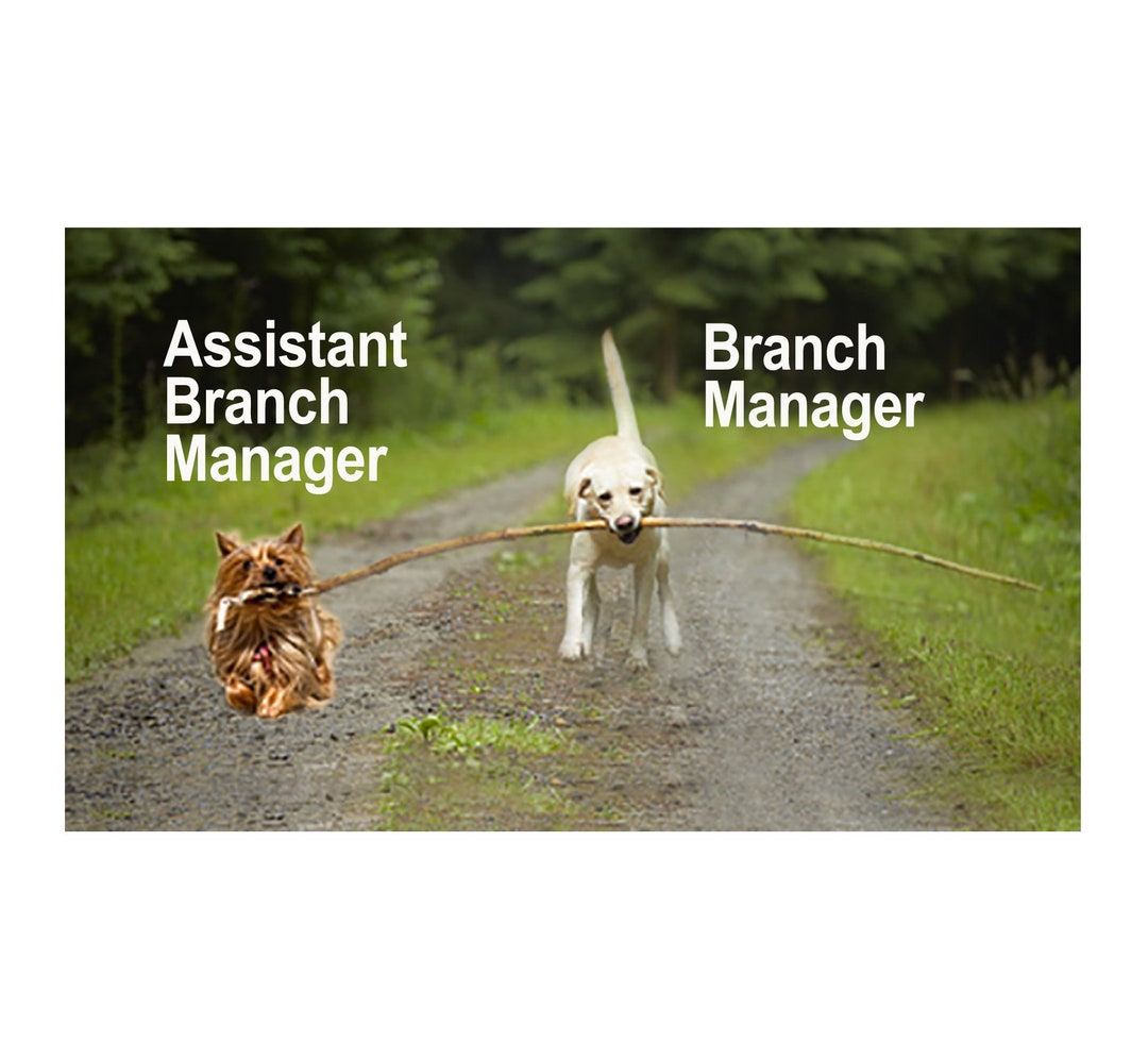 Branch Manager - Assistant Branch Manager Refrigerator Magnet, Humor ...