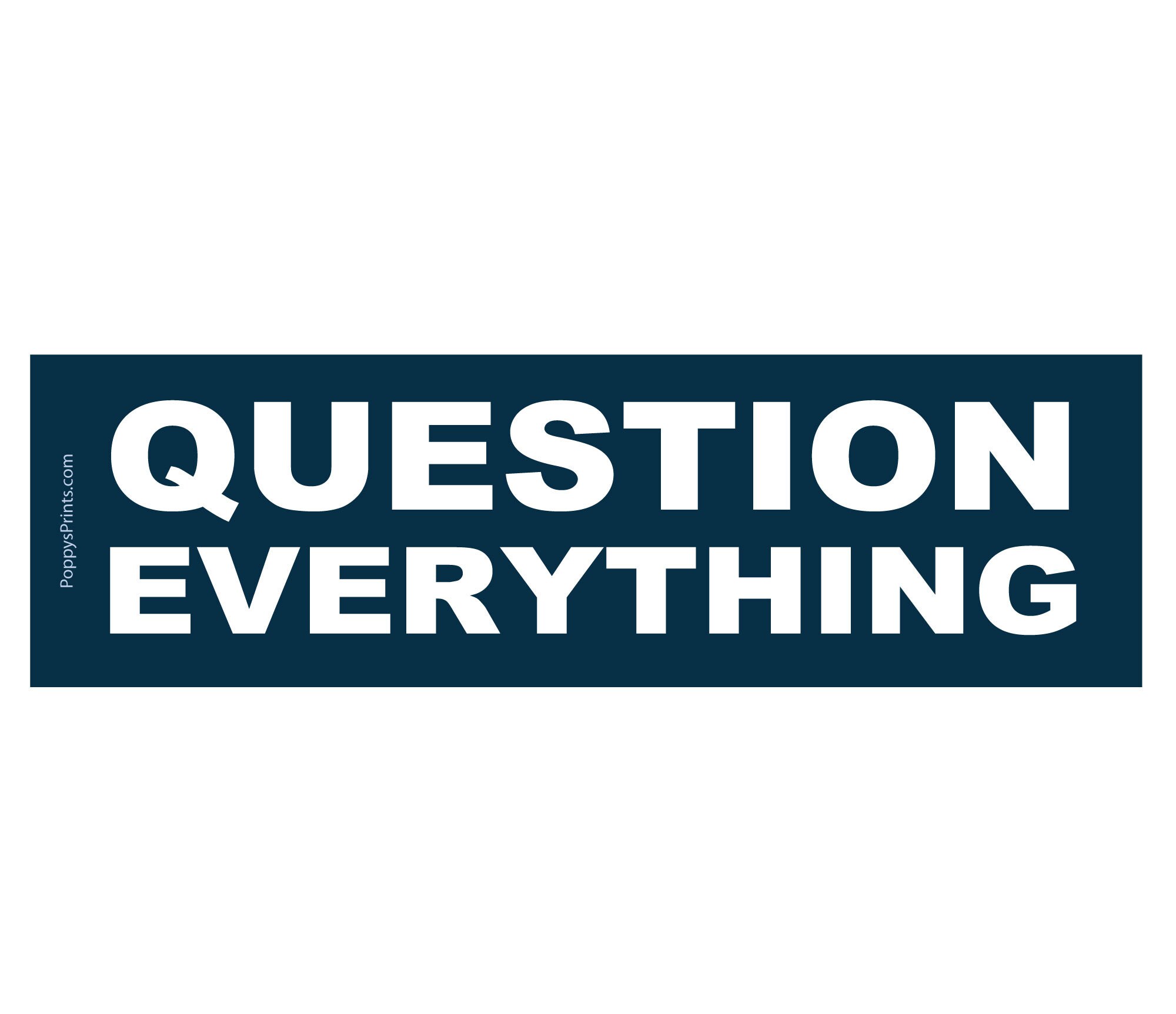 Question Everything Quote