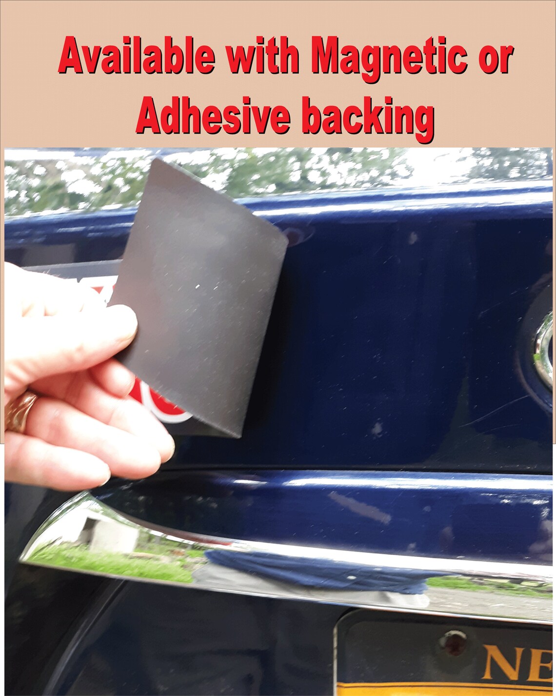 Respect Bumper Sticker Respect Science Respect Nature - Etsy